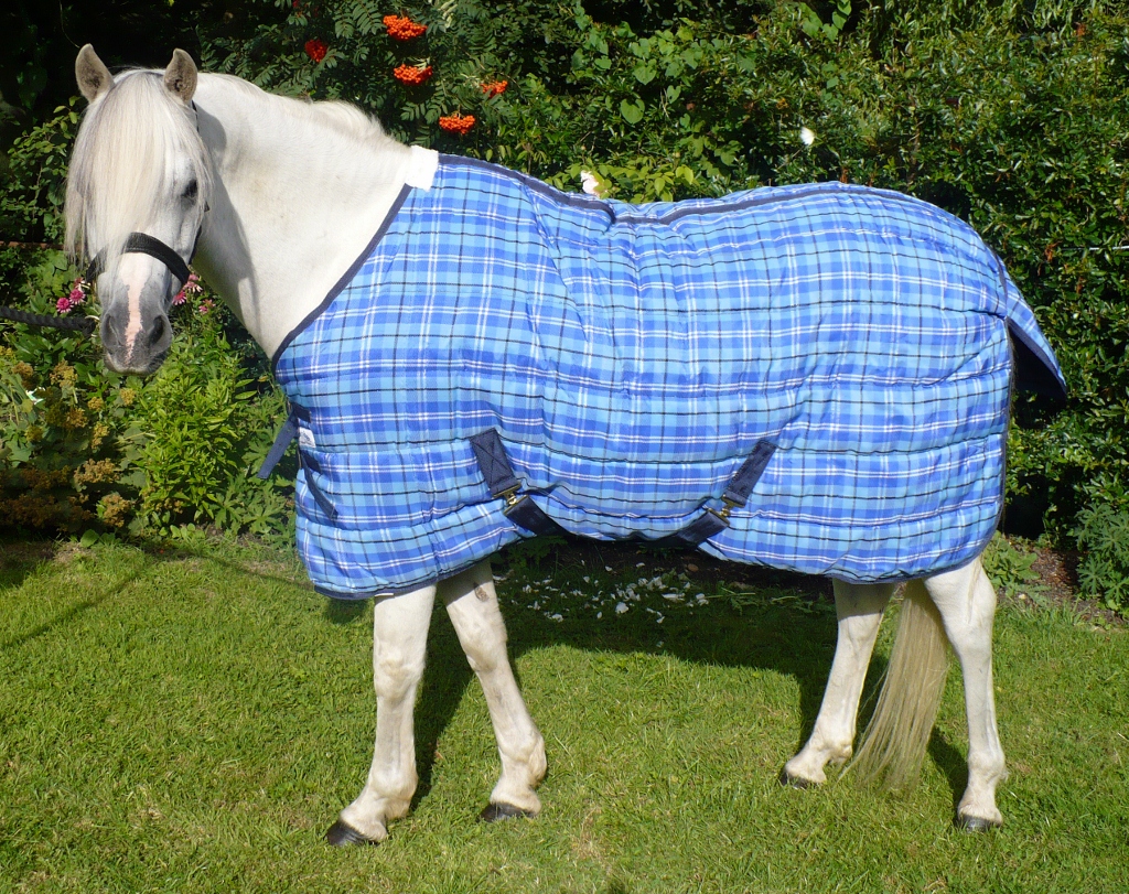 Dinky Classic Super-Snug Stable Rug